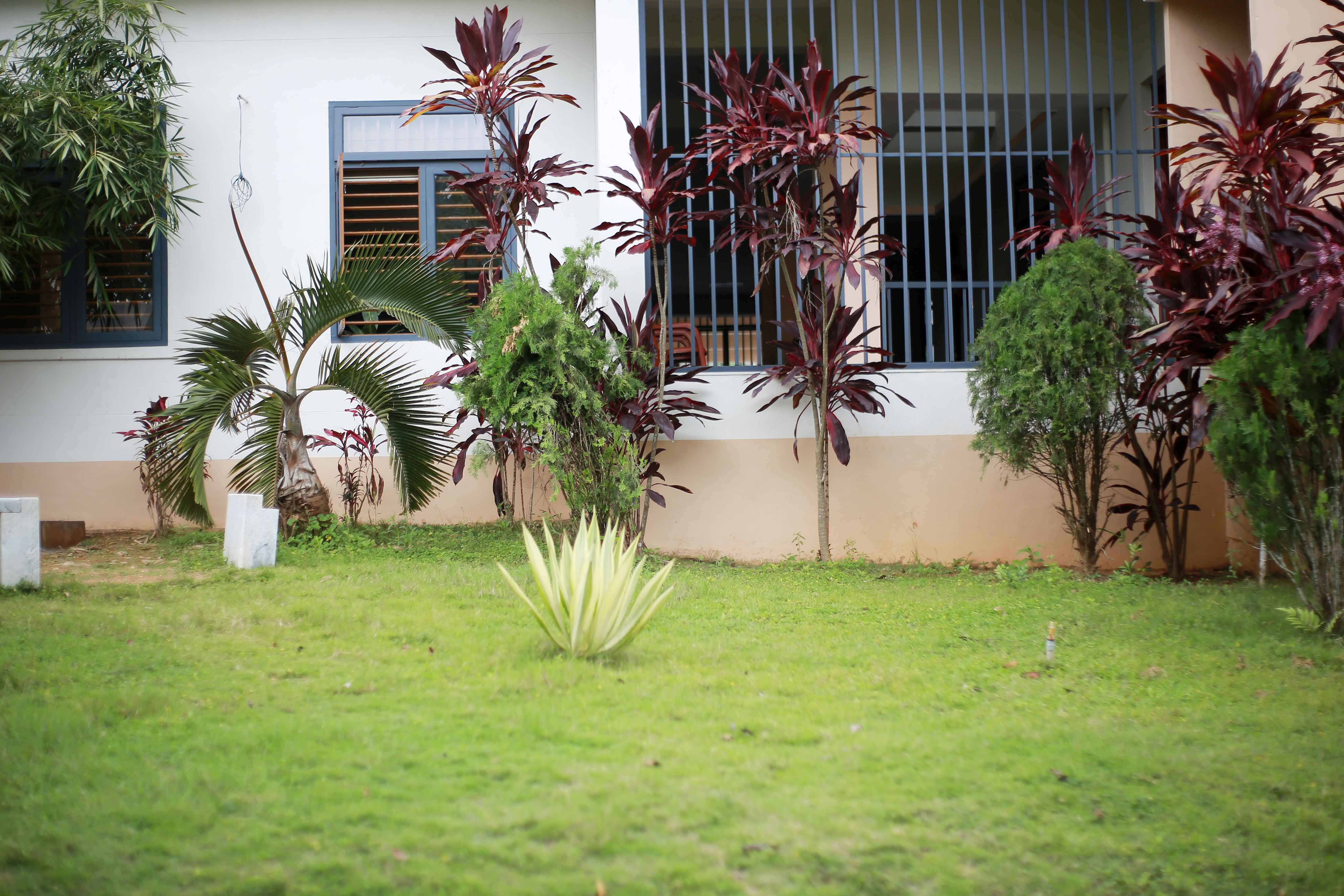 Garden - Nilgiri College of Arts and Science