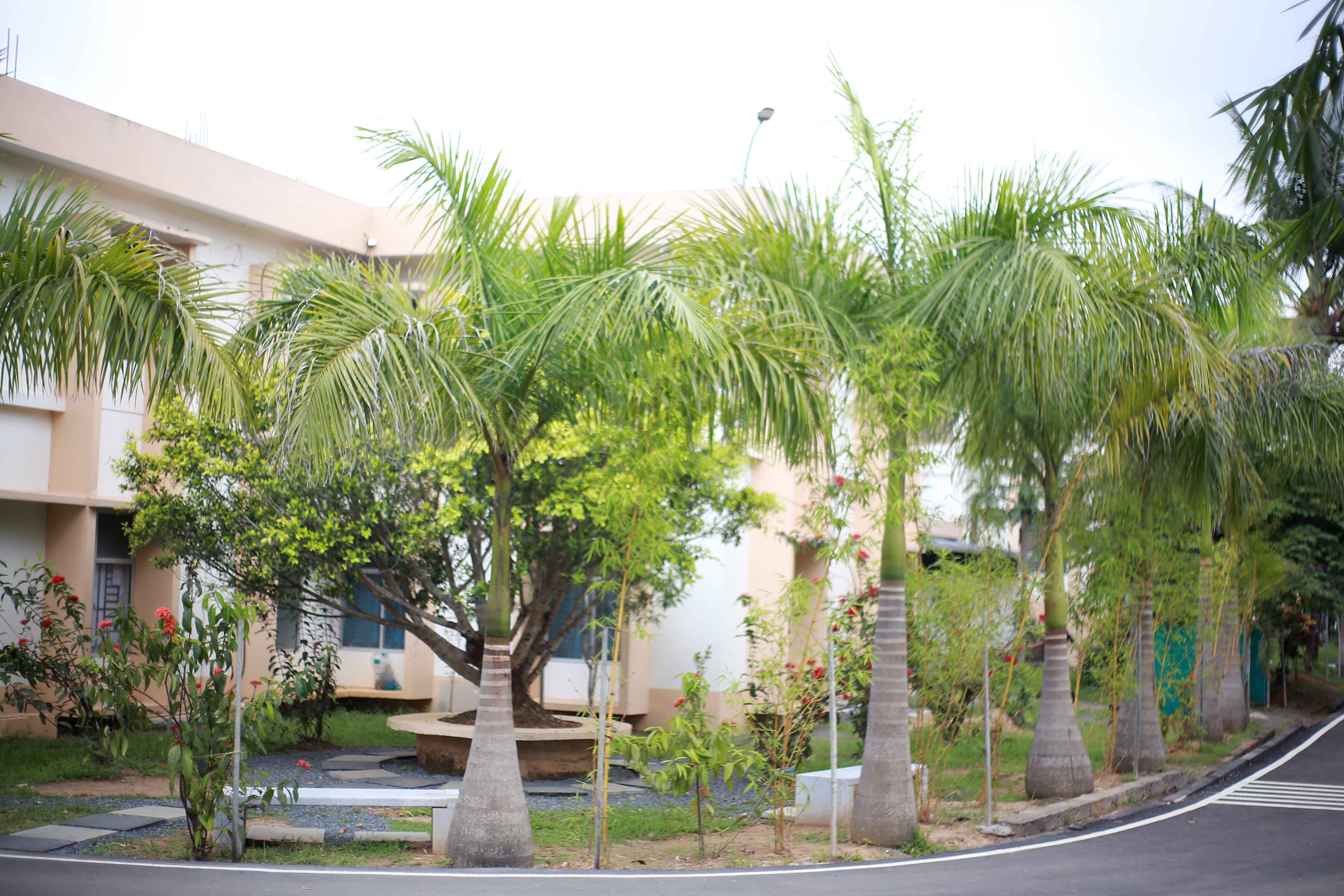 Garden - Nilgiri College of Arts and Science