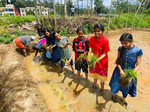 Certificate Course on Paddy Cultivation - Nilgiri College of Arts and ...