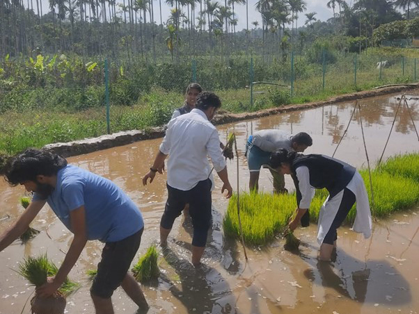 Certificate Course on Paddy Cultivation - Nilgiri College of Arts and ...