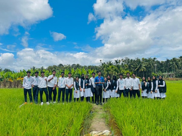 Certificate Course on Paddy Cultivation - Nilgiri College of Arts and ...