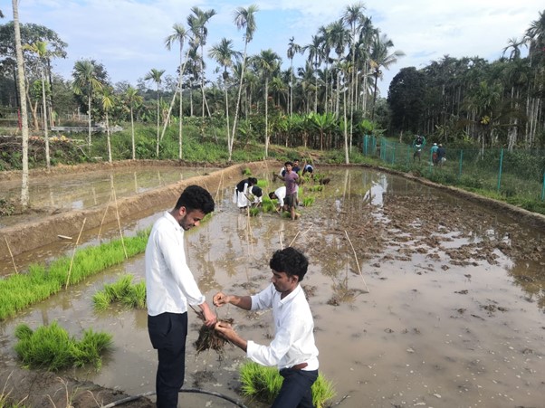 Certificate Course on Paddy Cultivation - Nilgiri College of Arts and ...